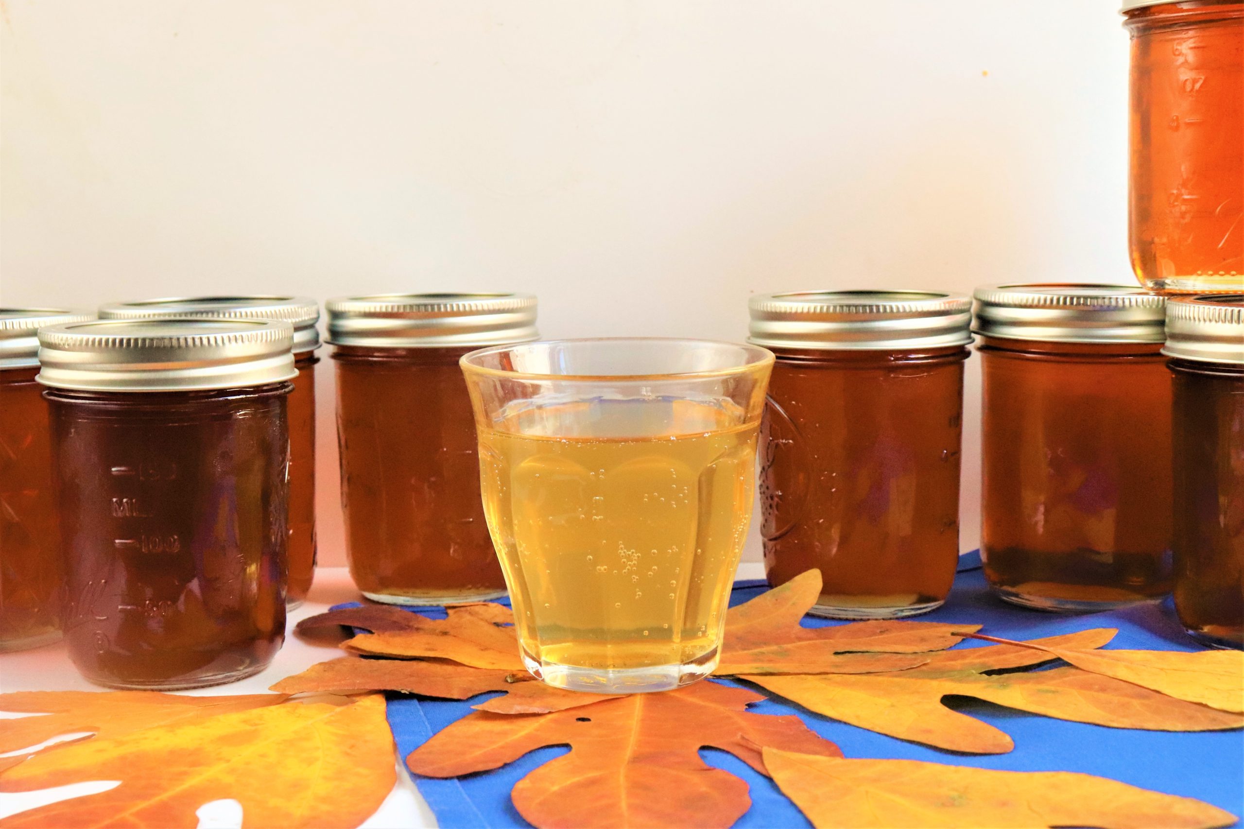 Sassafras Root Archives - Very Vegan Val