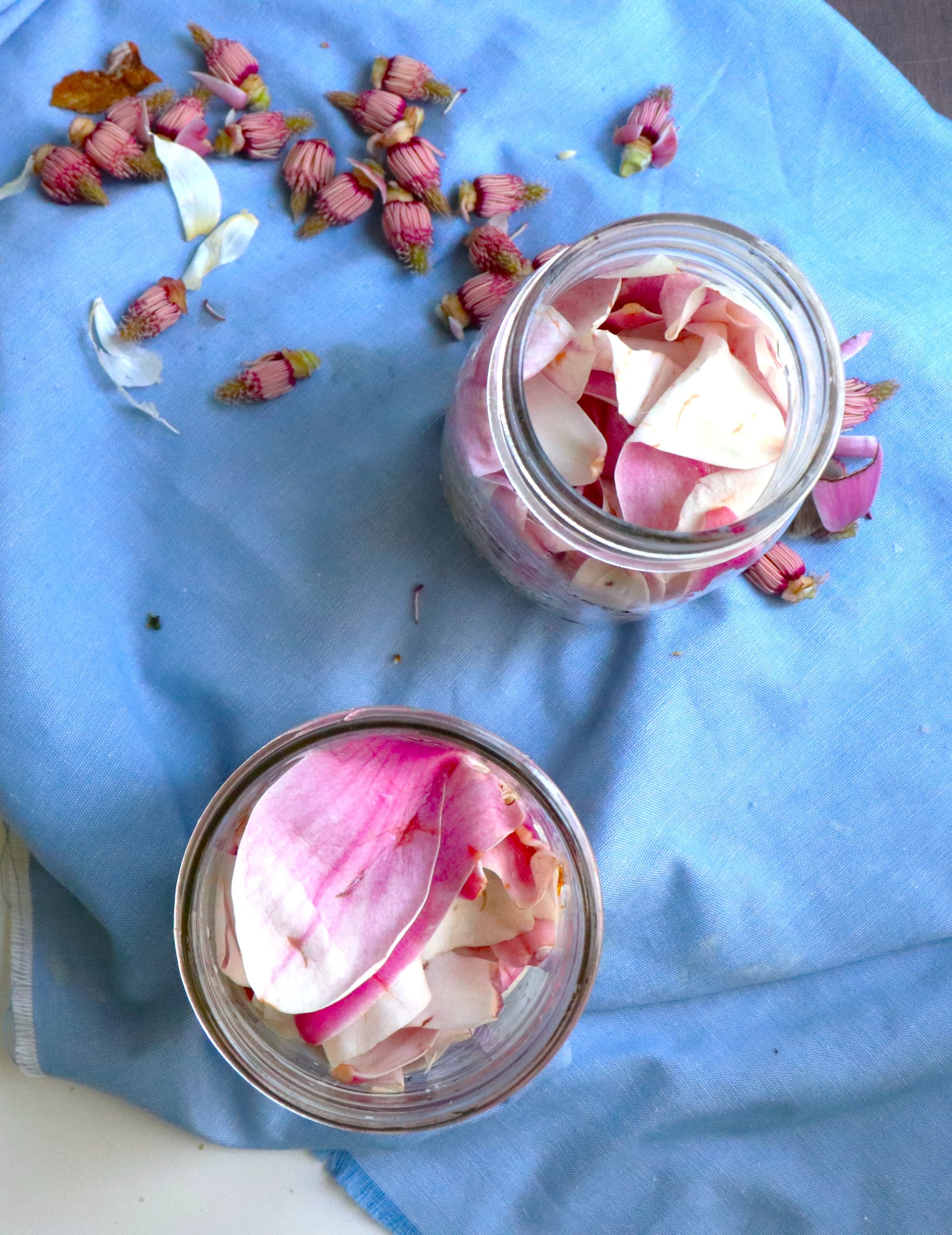 How to Make Quick Pickled Magnolia Petals - Very Vegan Val