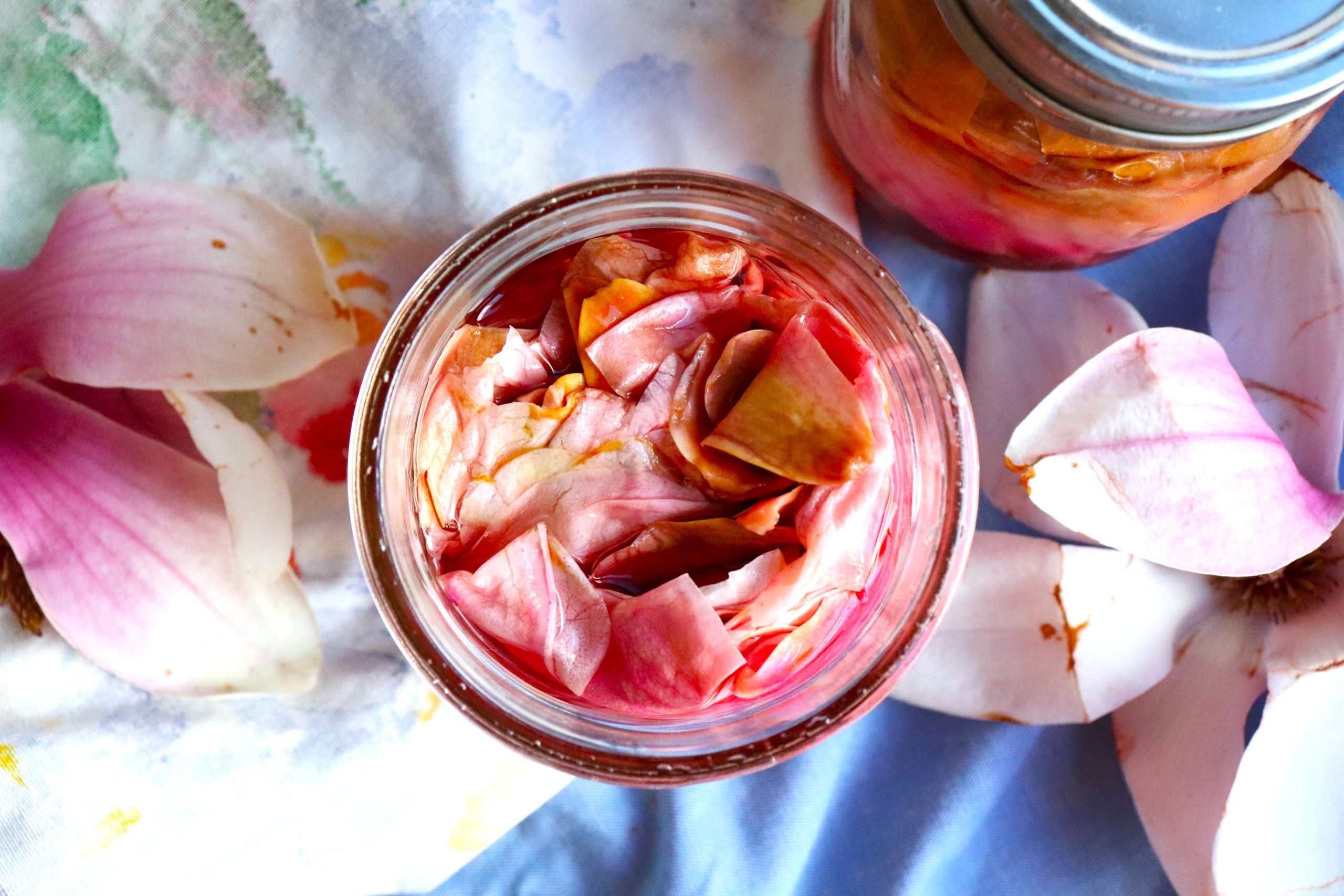 How to Make Quick Pickled Magnolia Petals - Very Vegan Val